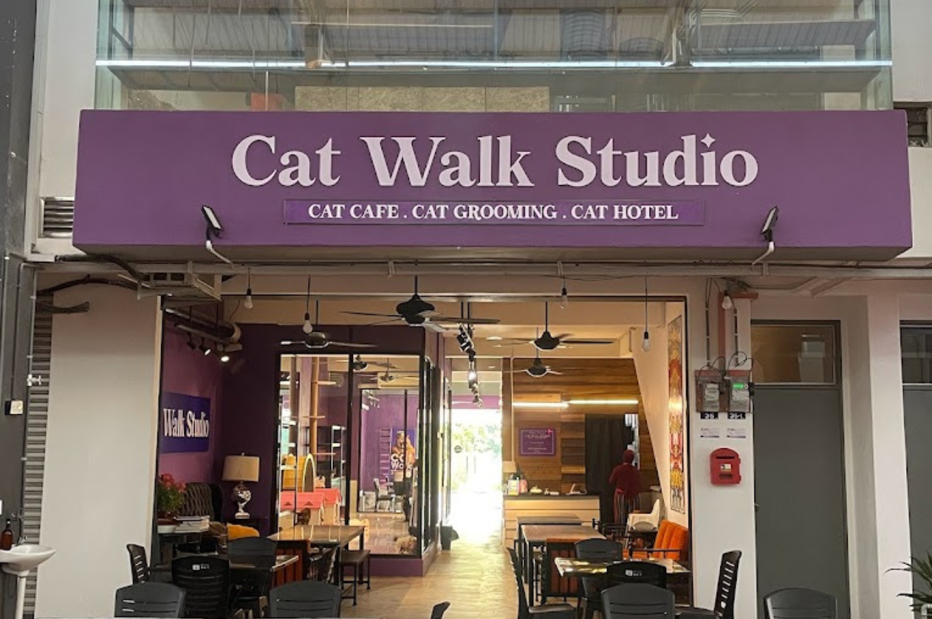 Visit Cat Walk Studio for Cat Lovers in Melaka - SGJB Taxis
