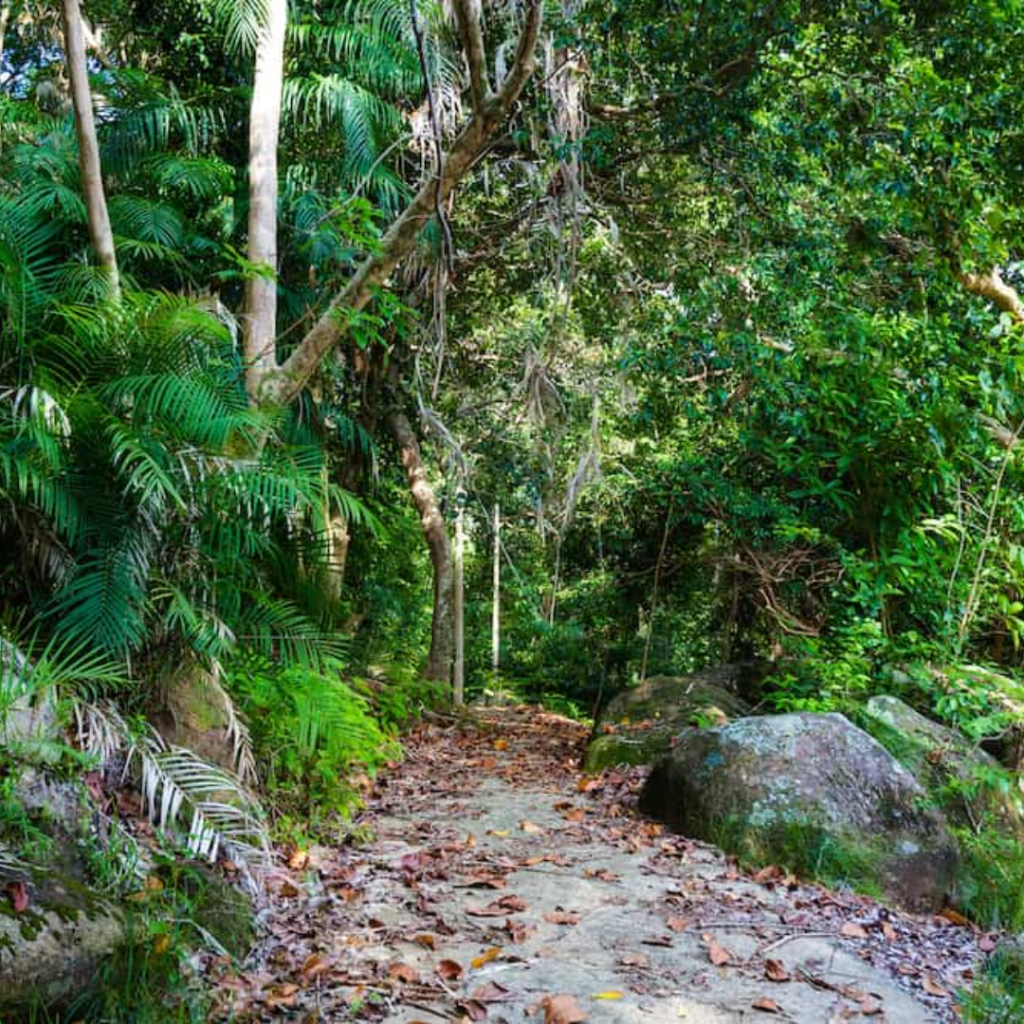 Must-See Pulau Tulai Spots in Tioman Islands - SGJB Taxis