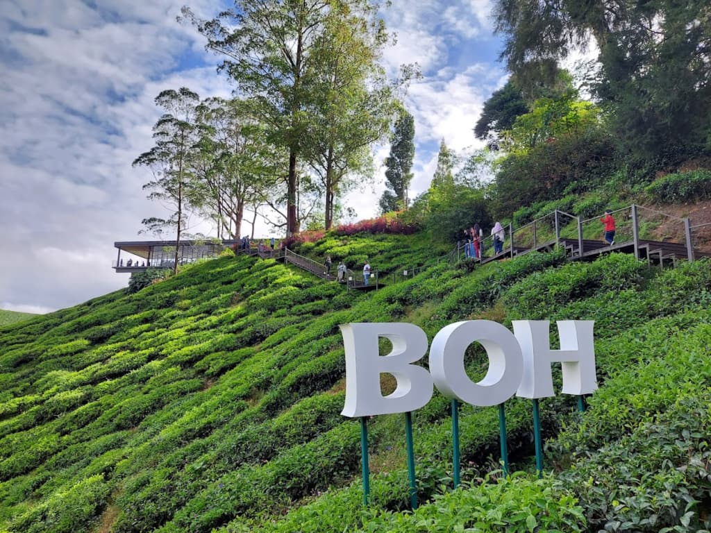10 Interesting Place in Cameron Highlands Tours (2025)